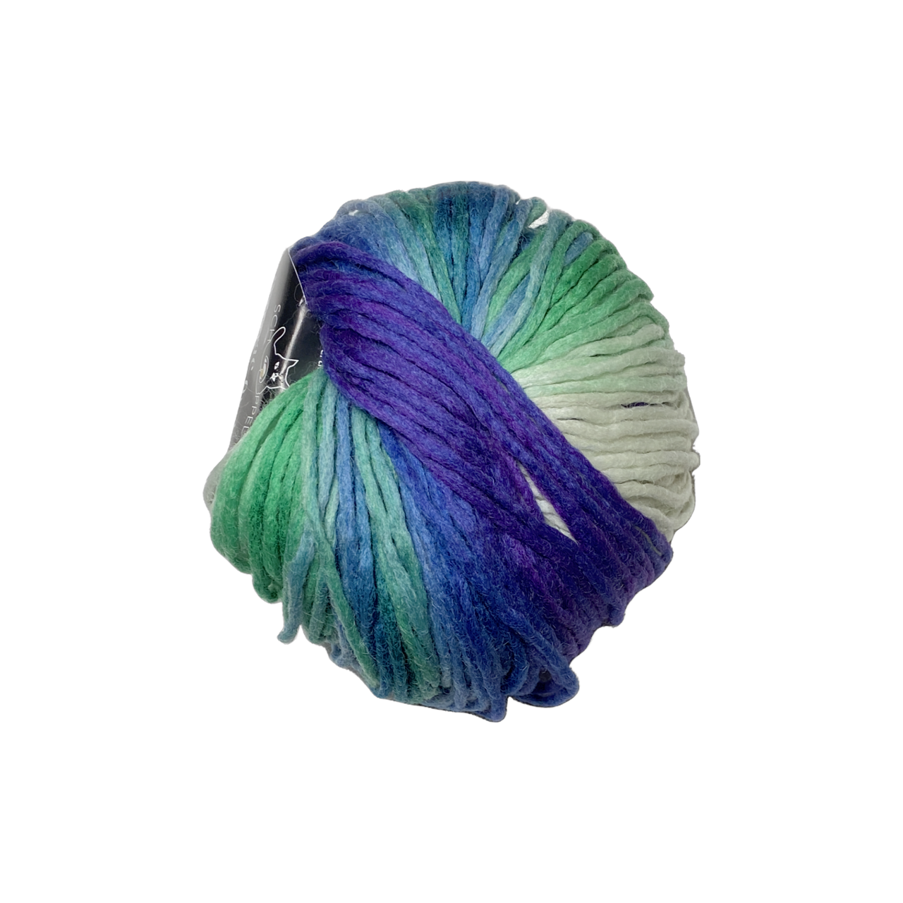 Schoppel-Woolle Reggae Ombre Yarn | Wool Monkey